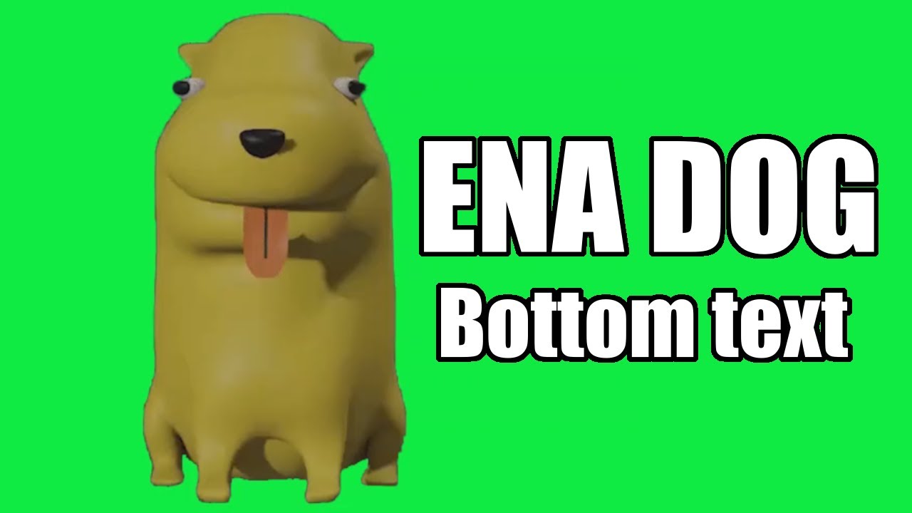 ENA's spinning Dog greenscreen - YouTube