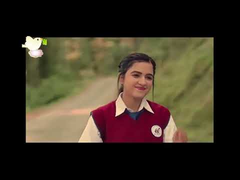 watsapp güzelcan statuslar