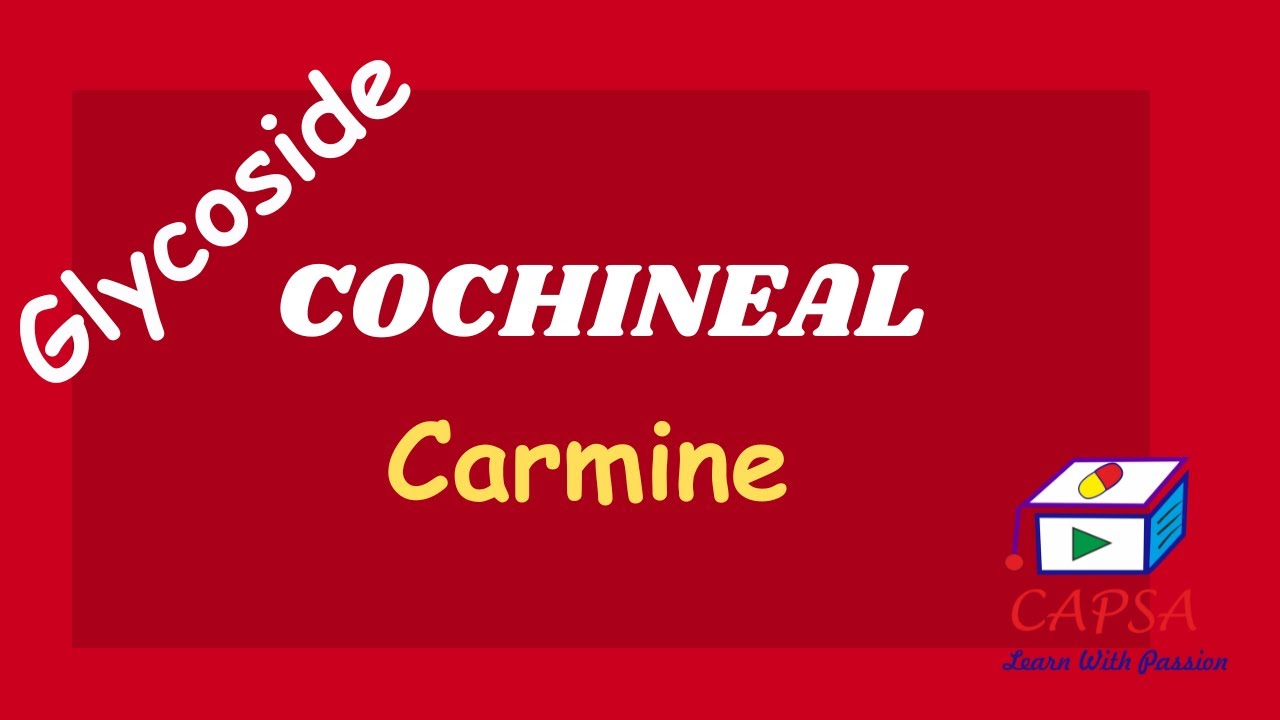 Cochineal Uncovered: Uses, Benefits, and the Science Behind the Red Dye ...
