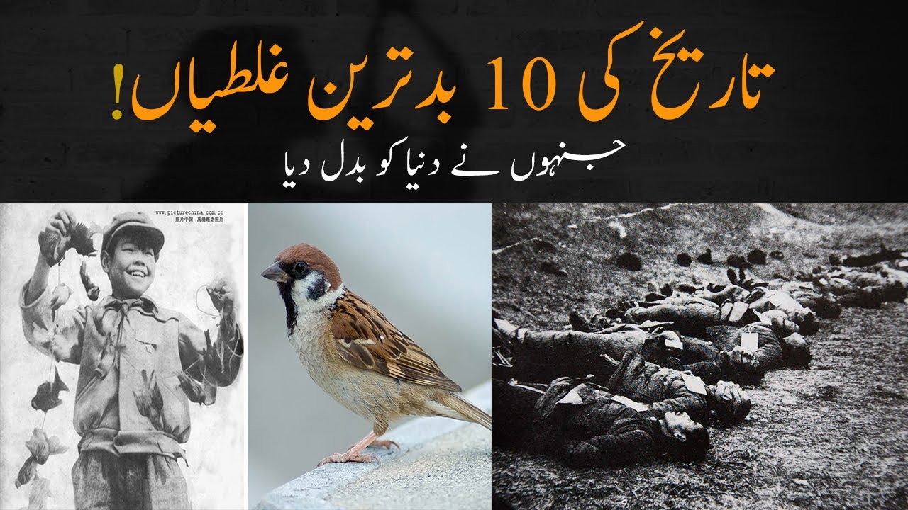 10 Worst Mistakes in History that changed the World! - YouTube