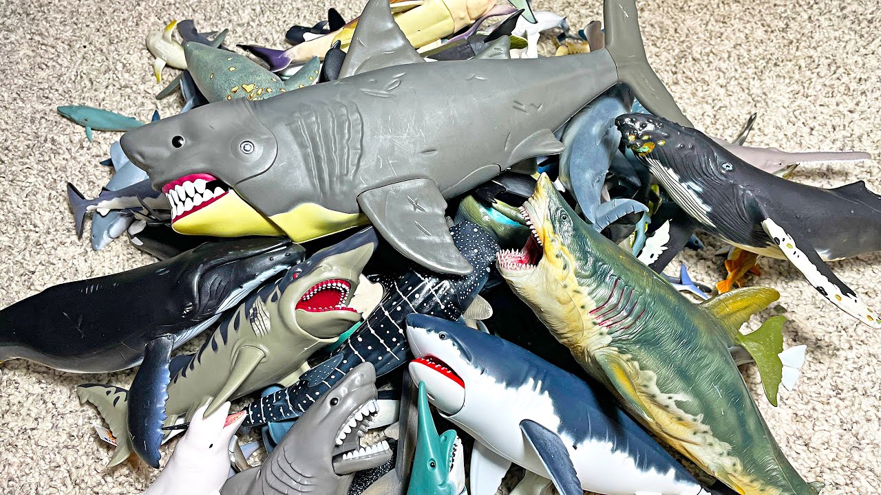 Sea Animals Collection - Sharks, Whales, Dolphins, Megalodon, Beluga ...