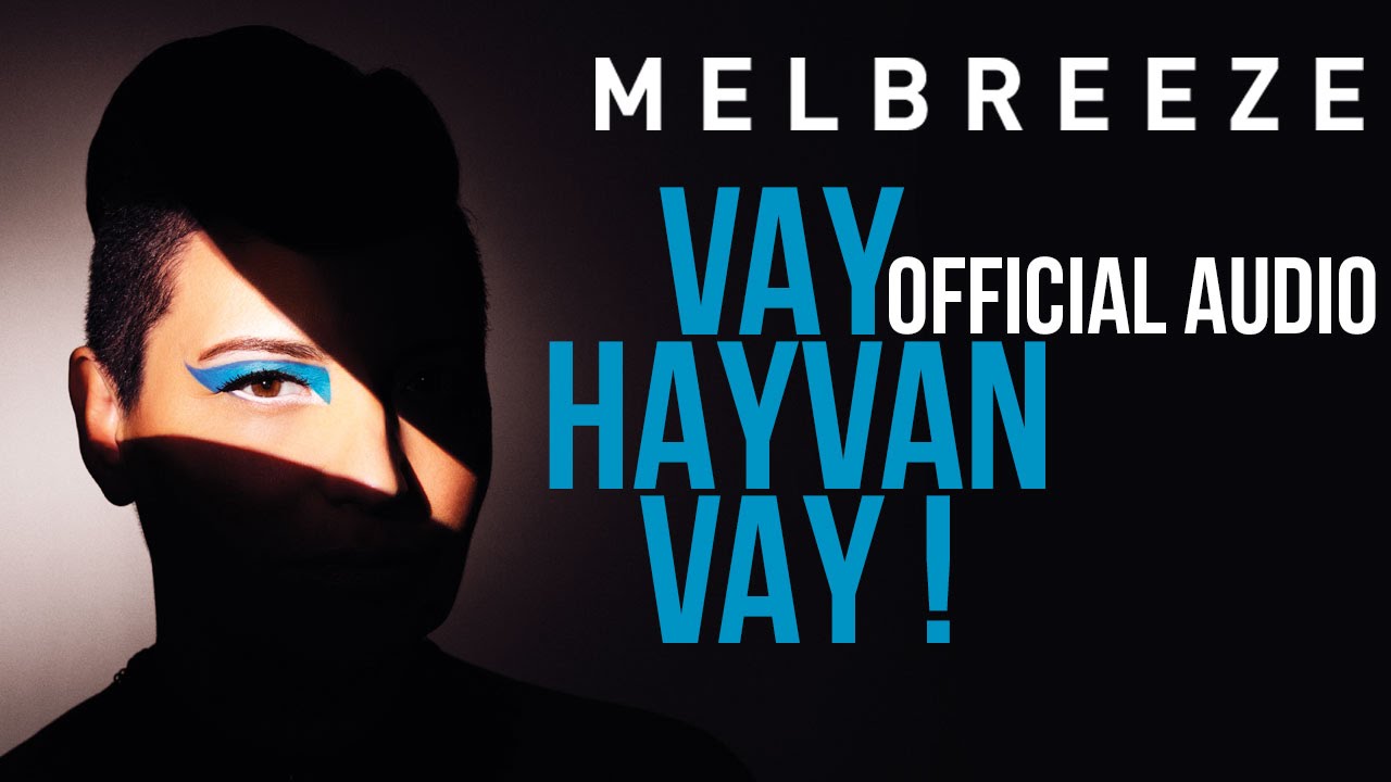 Vay Hayvan Vay ( Official Audio ) - YouTube