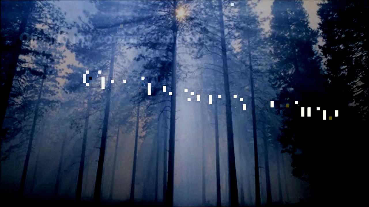 Nicki Minaj - Freedom OFFICIAL LYRICS VIDEO - YouTube