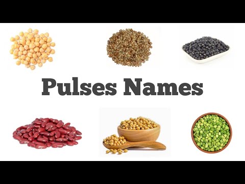 Pulses Names - YouTube