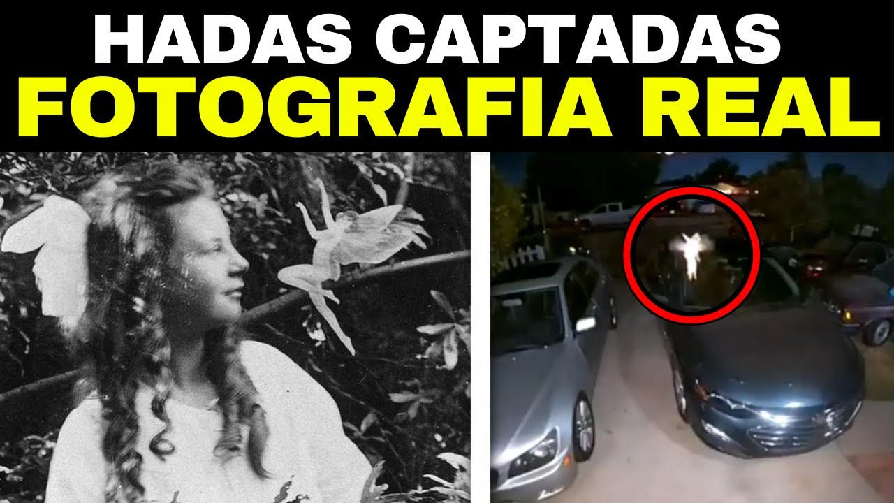 15 Hadas Reales Captadas Por Una Cámara Y Vistas En La Vida Real - YouTube