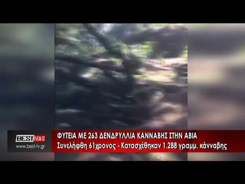 ΦΥΤΕΙΑ ΚΑΝΝΑΒΗΣ ΔΥΤΙΚΗ ΜΑΝΗ - YouTube