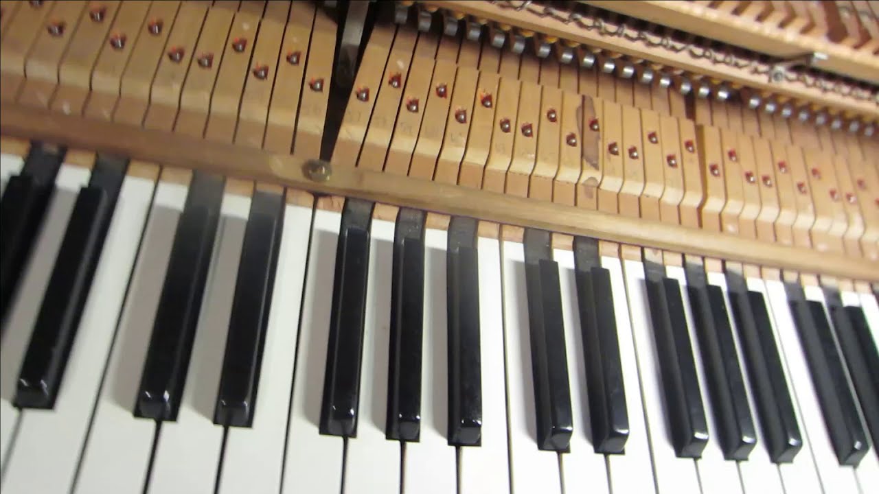 Reconditioning piano key felt bushings using VS Profelt - YouTube