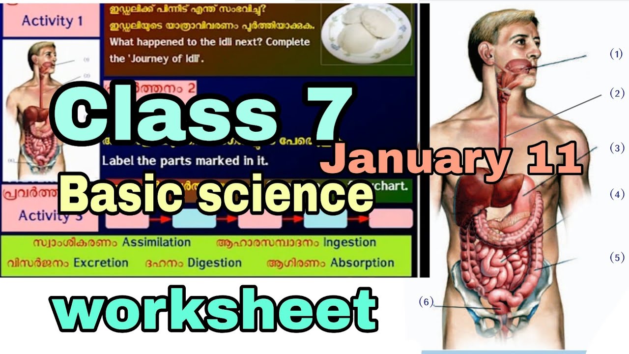 Victers Class 7 Basic science worksheet January 11 - YouTube