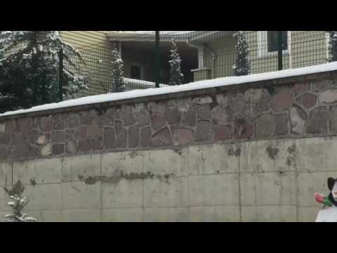 Kardan adamın zeytin gözünü çalan ala karga