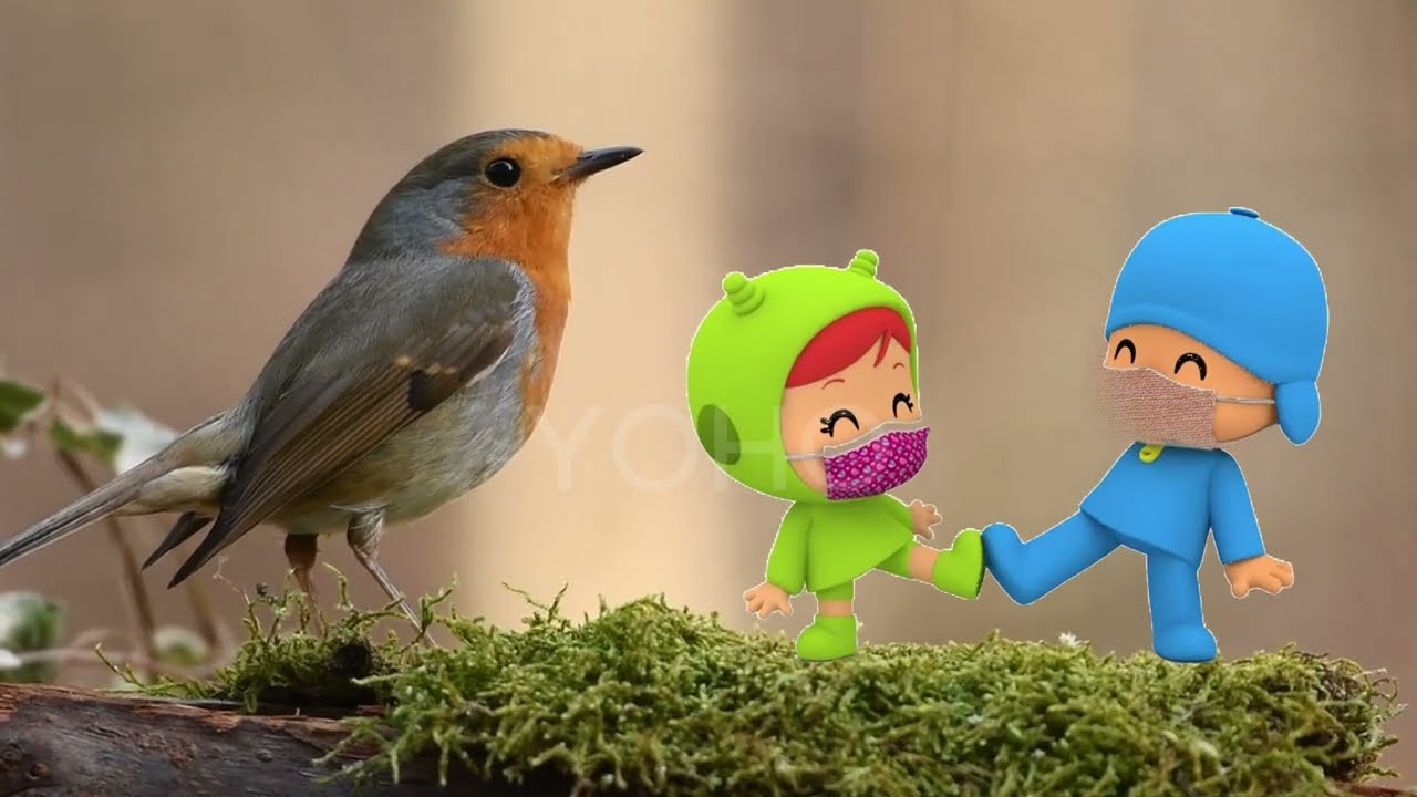 Pocoyo Sound Variations in 26 Seconds | Pocoyó | nina pocoyo - YouTube