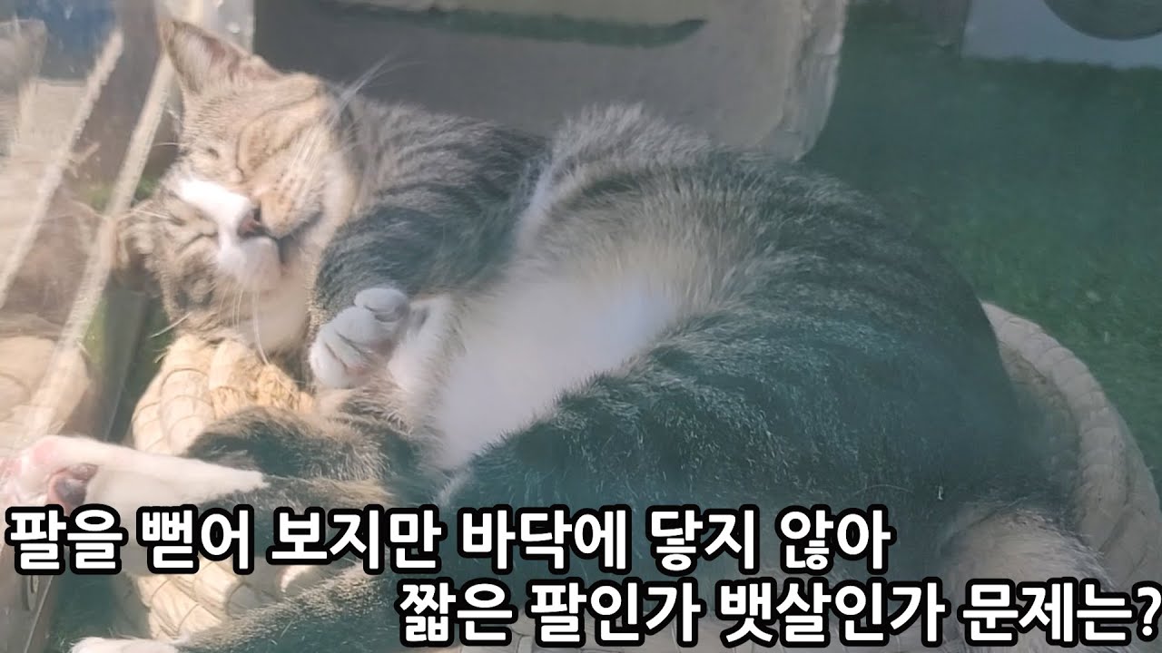 허공에 떠있는 팔 순돌이 Youtube