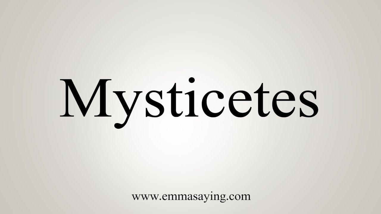 How To Say Mysticetes - YouTube