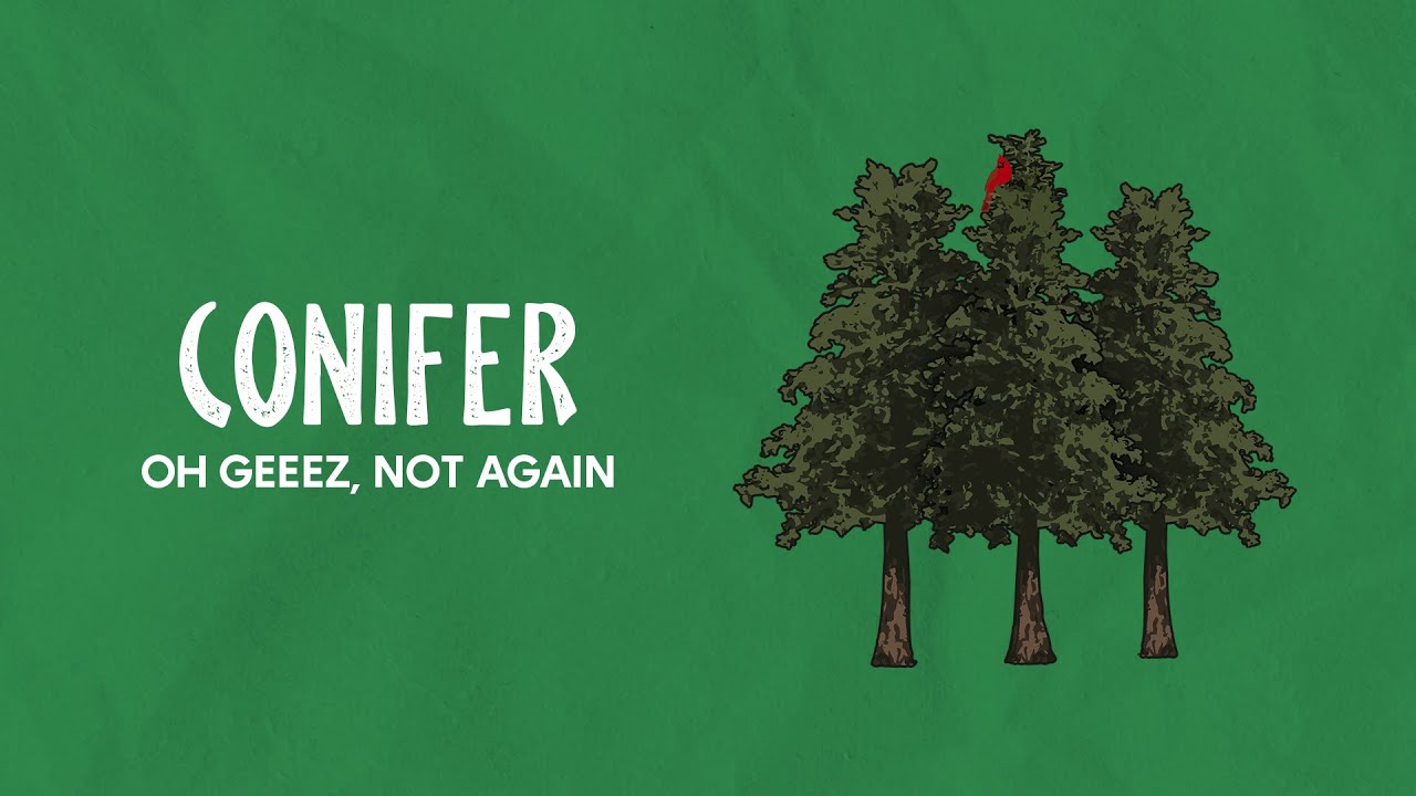 Oh Geeez, Not Again - Conifer (Official Lyric Video) ft. @DanielleKeikoEyer 🌲 - YouTube