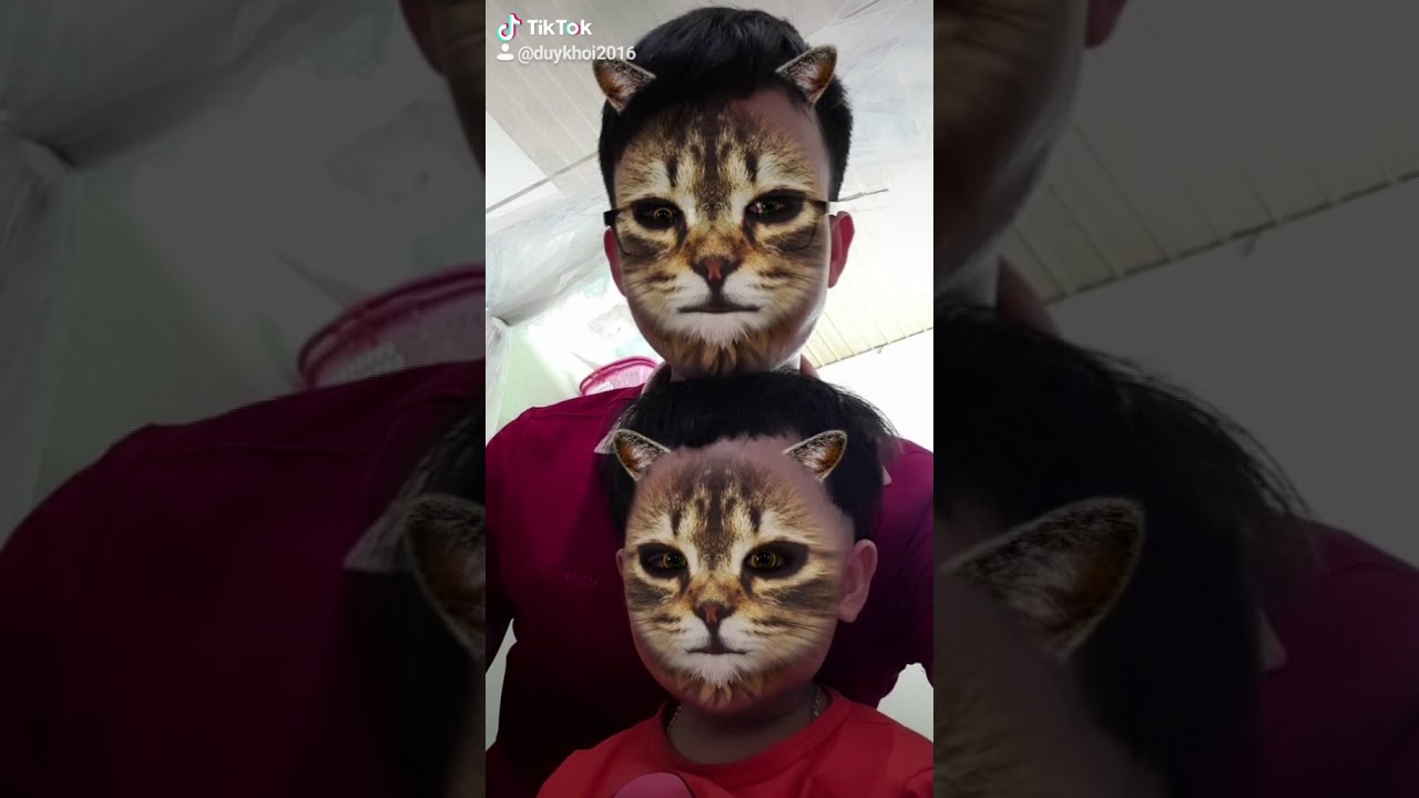 Mèo bố mèo con - YouTube