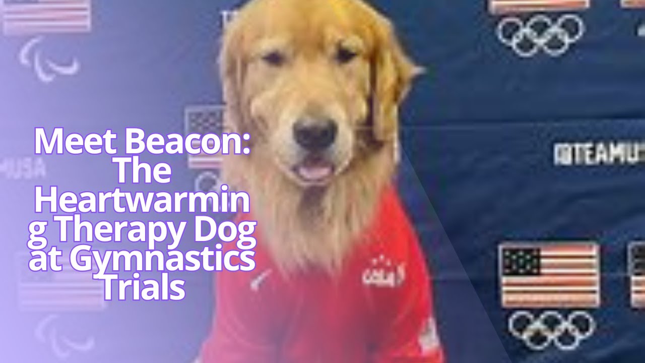 Meet Beacon: The Heartwarming Therapy Dog at Gymnastics Trials - YouTube