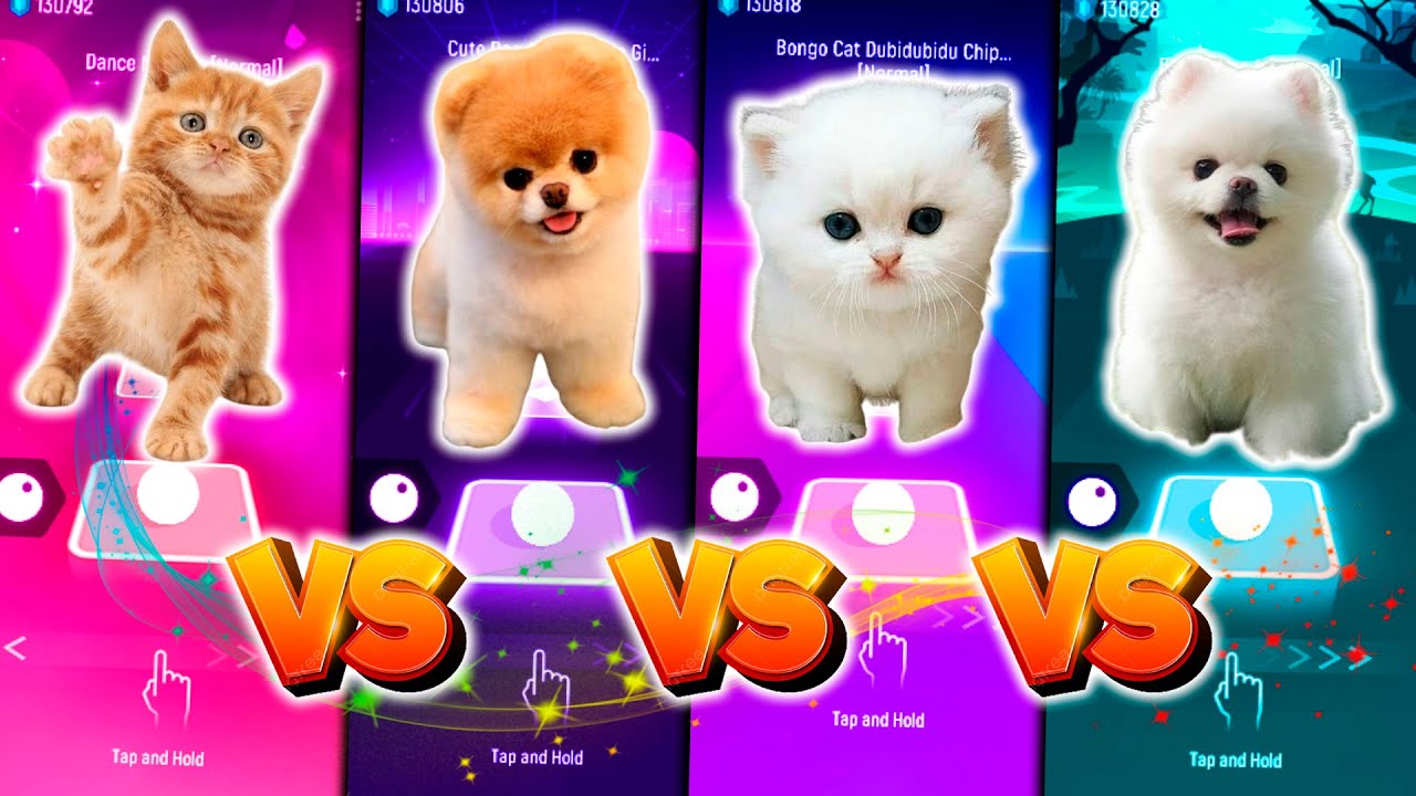 CUTE CAT DANCE MONKEY CUTE DOG AQUA BARBIE GIRL CUTE CAT DUBUDUBIDU ...