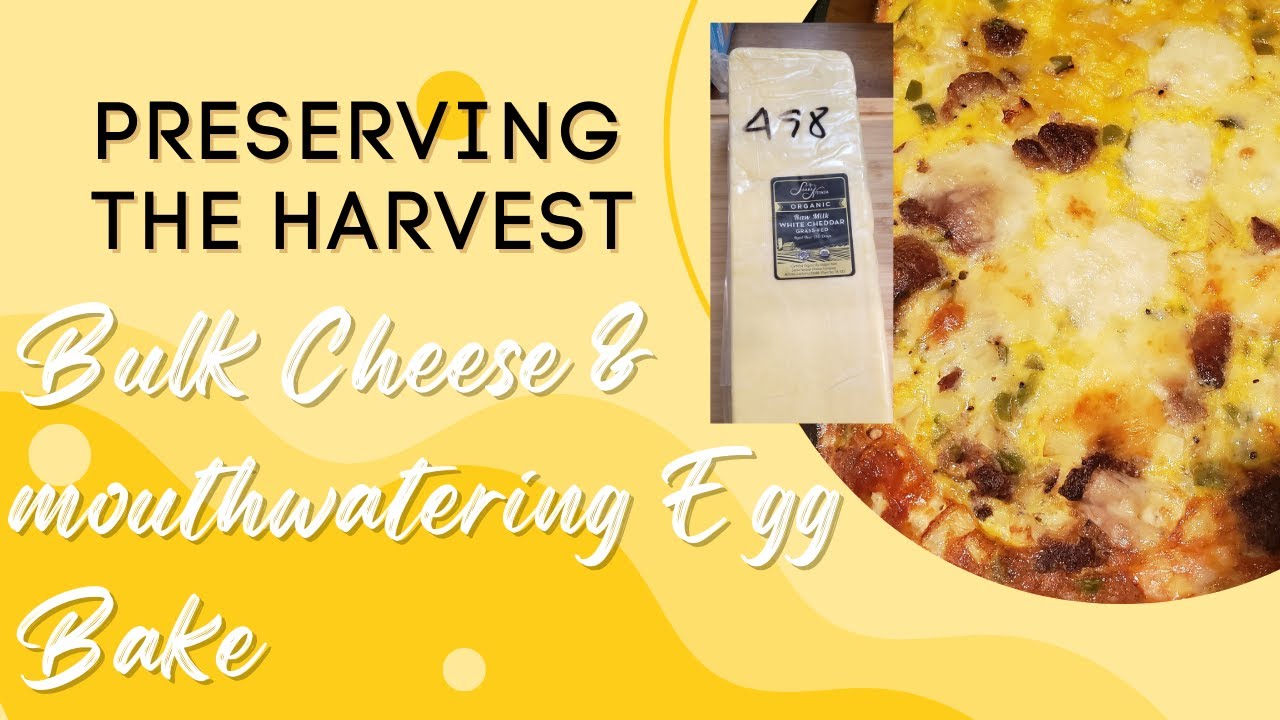 Preserving the Harvest: Bulk Cheese & Delicious Egg Bake Recipe! 🧀 ...