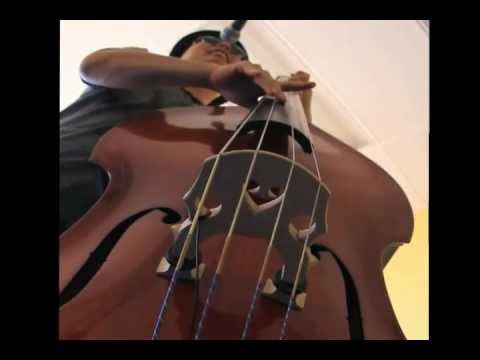 Moondance - Acoustic upright bass cover - YouTube