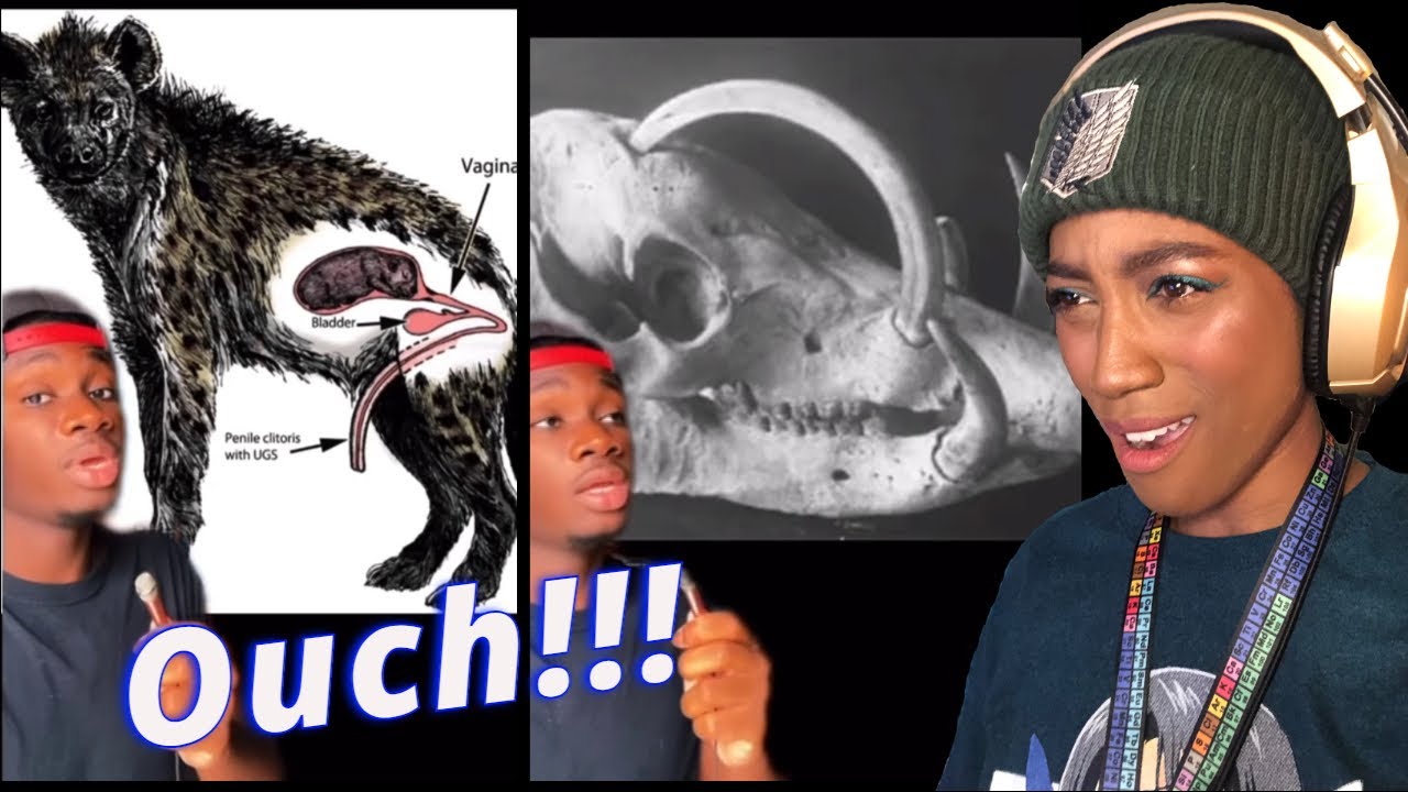 The Dark Side!!!...Pre-Med Major Reacts to Animals that Got the Middle ...