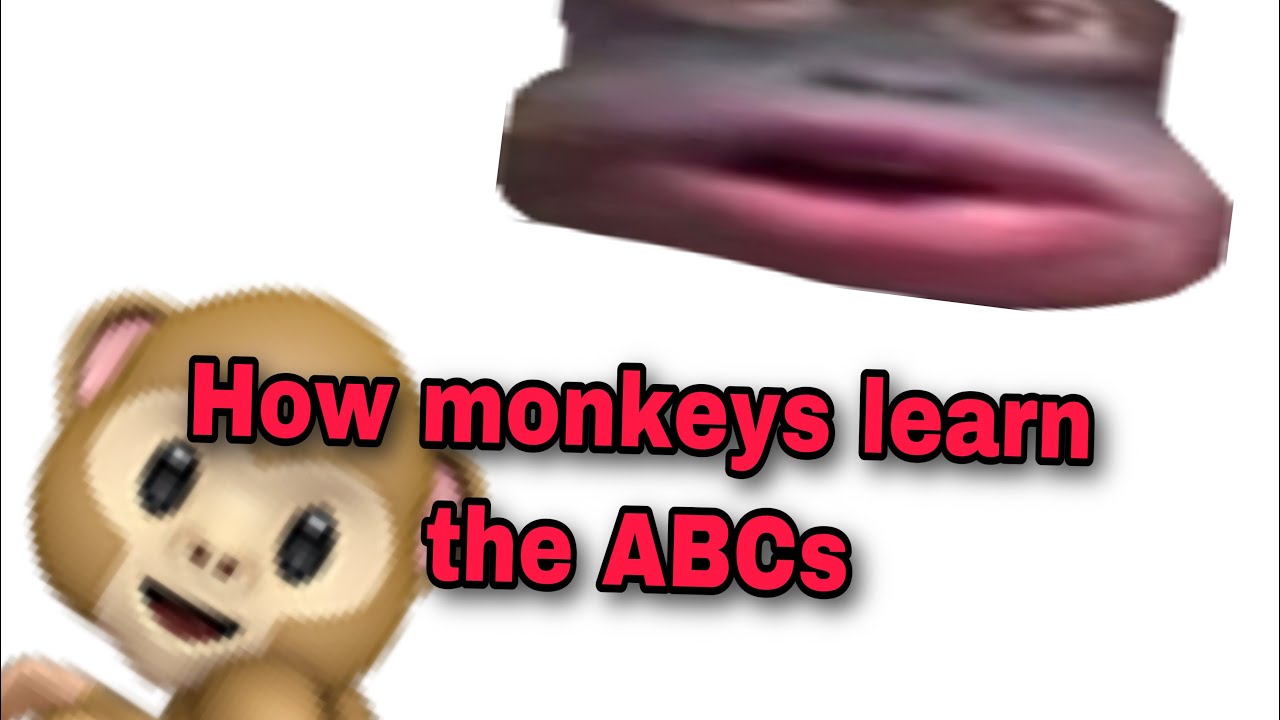 How monkey learn the ABC’s - YouTube