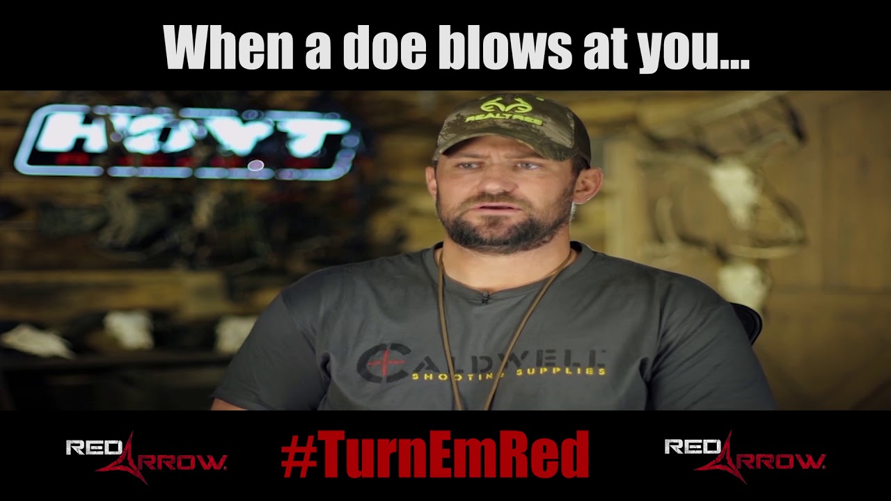 Red Arrow is REAL HUNTING!! - YouTube