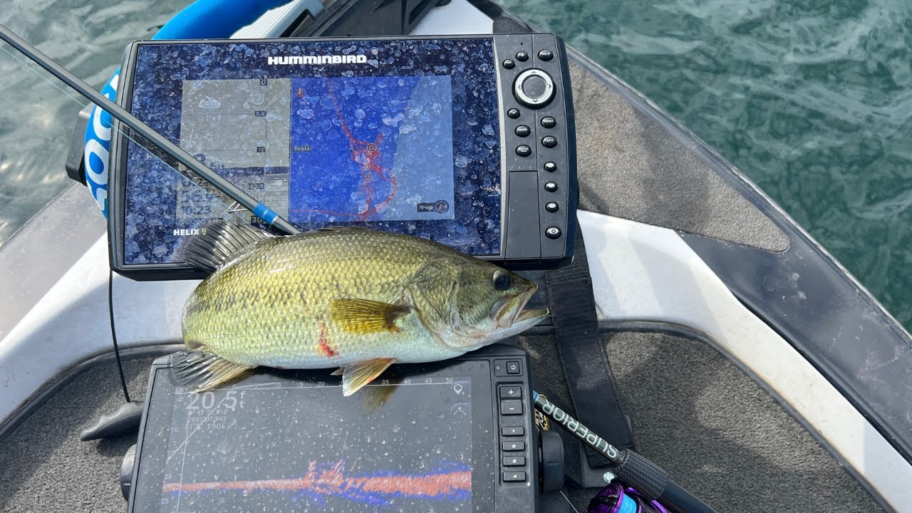 Catching late summer Bass of Northern WI Crappie CRIBS! - YouTube