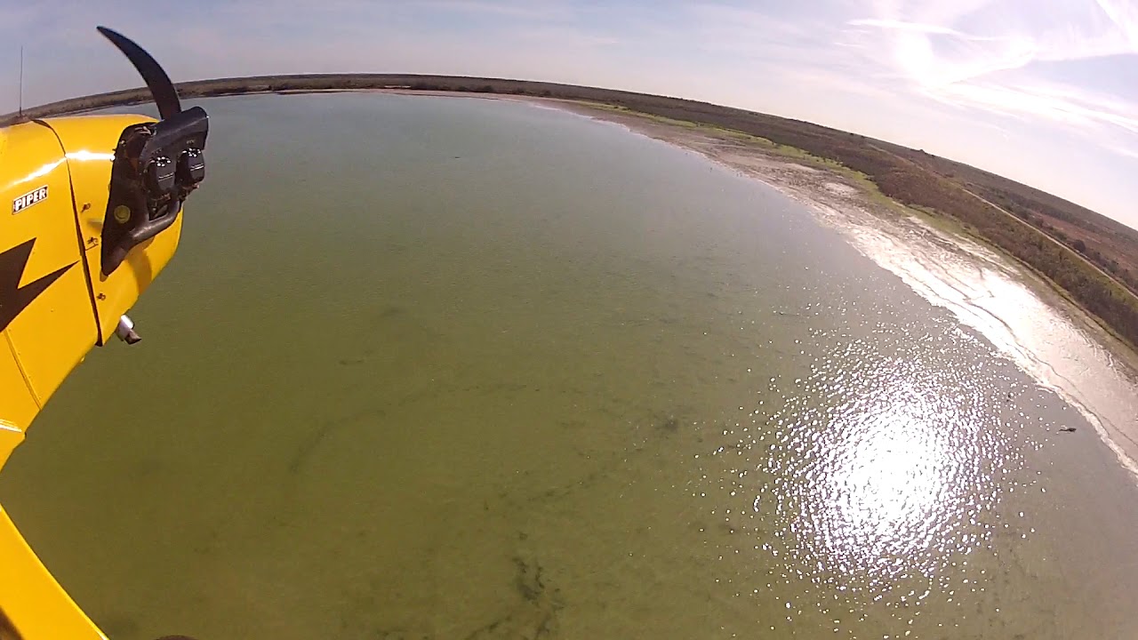 Gator pit near Frostproof - YouTube