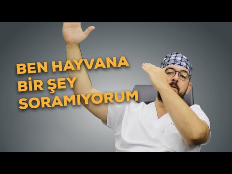 Kedi ve köpek ne yemeli? “Bu Zararlı Bunu Yapma!” Parvoviral Enterit (kanlı ishal) 1. Bölüm extra