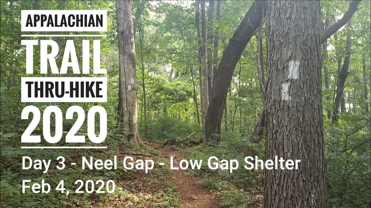 2020 Appalachian Trail Thru-hike: Day 3 - Neel Gap to Low Gap Shelter ...