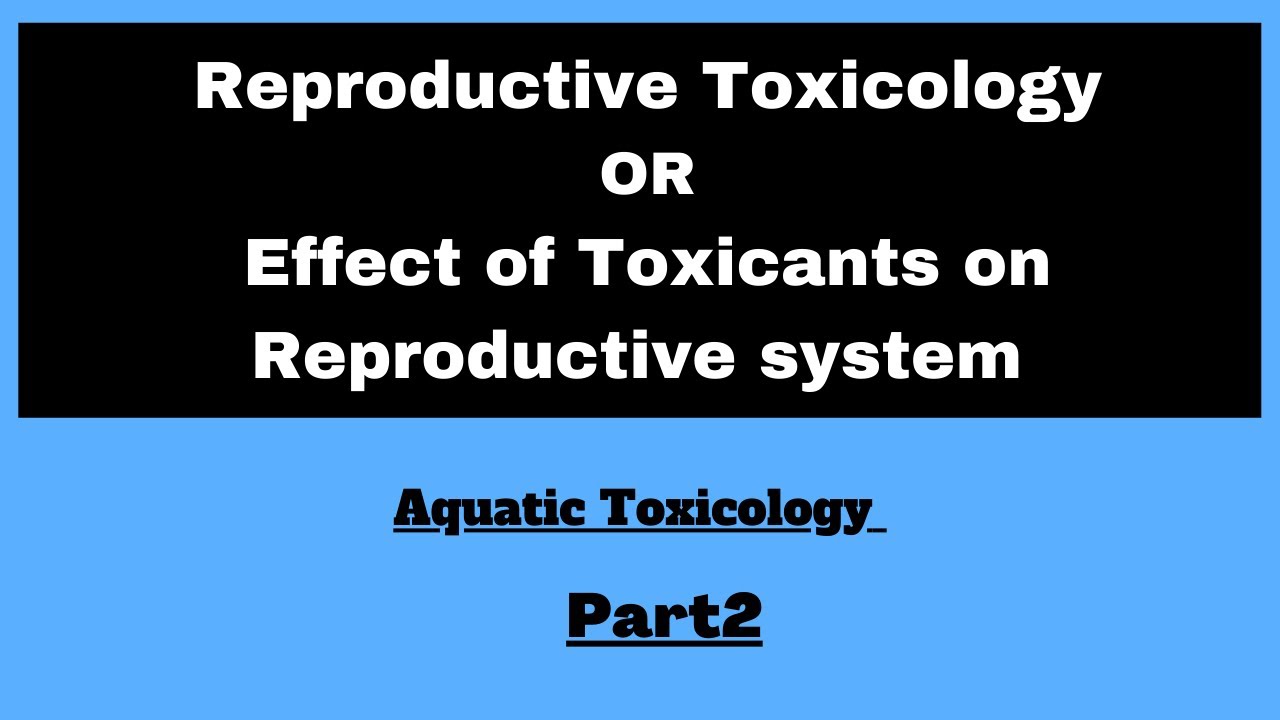 Reproductive Toxicology part2, Effect of toxicants on reproduction ...