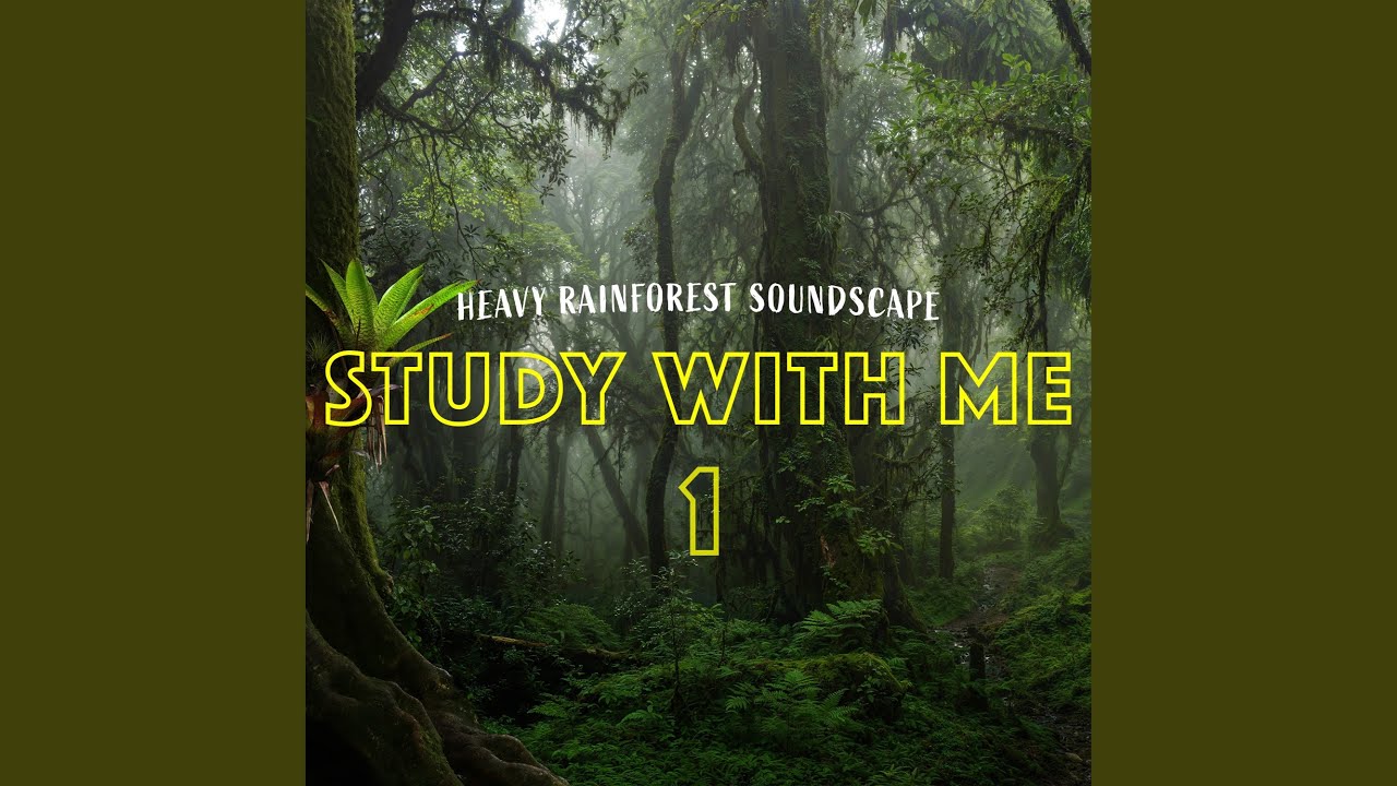 Heavy Rainforest Soundscape, Pt. 20 - YouTube