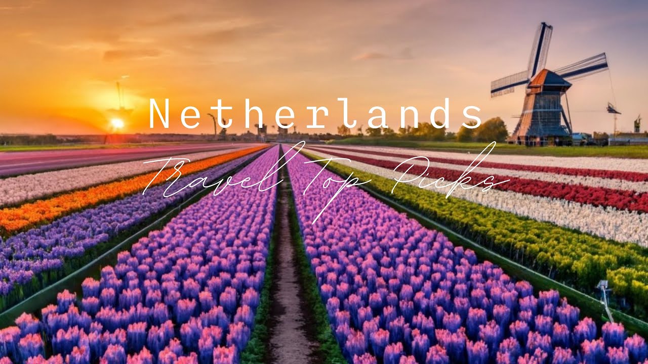 “Exploring the Netherlands: 5 Must-Visit Destinations”🇳🇱 - YouTube