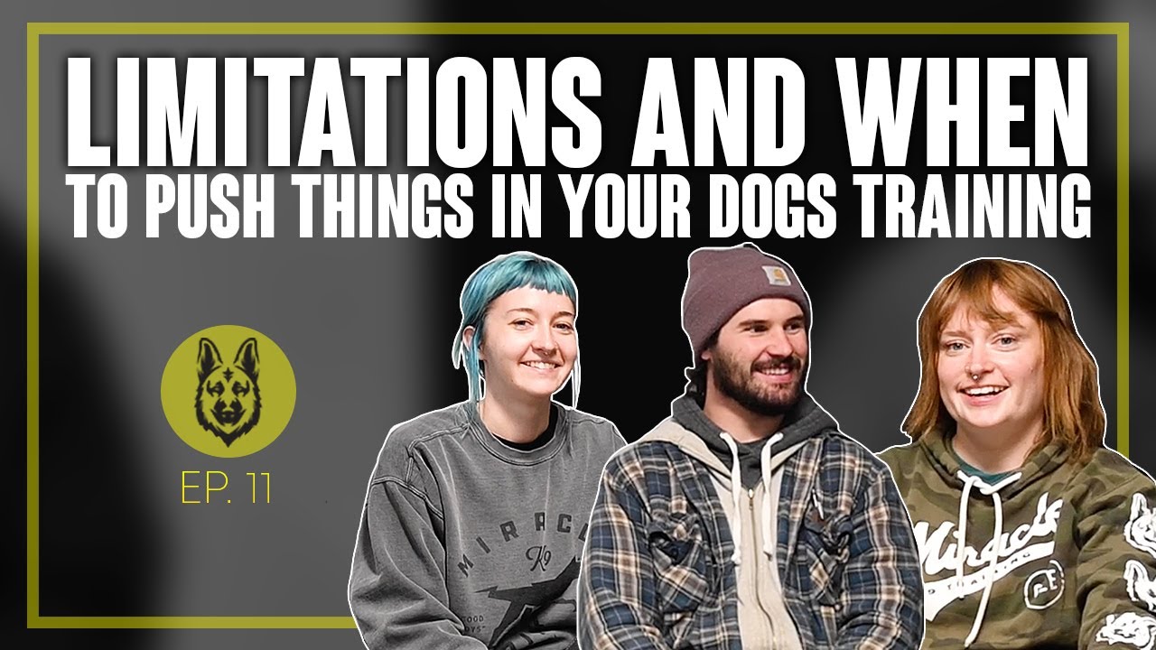 MK9 Podcast Ep. 11 - Limitations And When To Push Things In Your Dogs ...