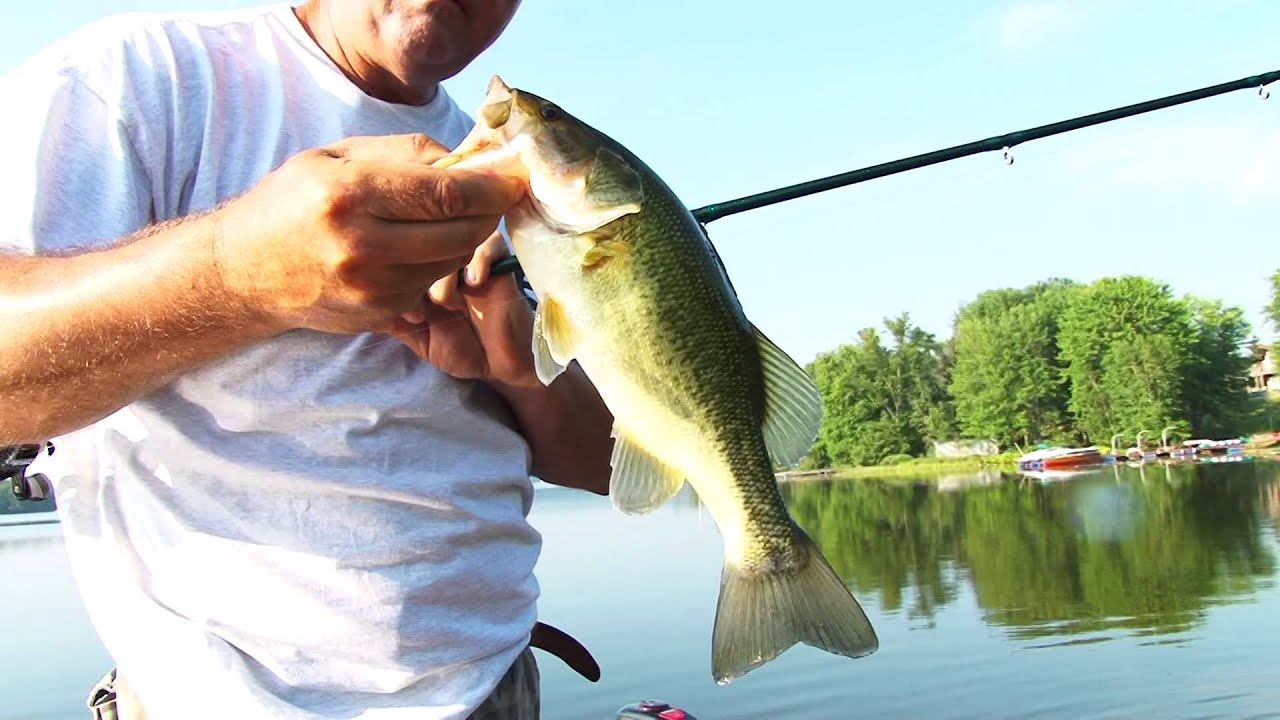 hawg bass in clear water - YouTube