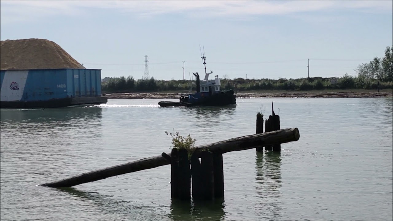 Ledcor tug and wood chip barge, Sept , 2021 - YouTube