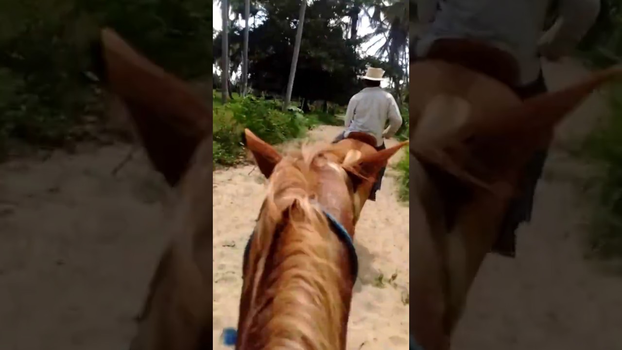Cabalgando - YouTube