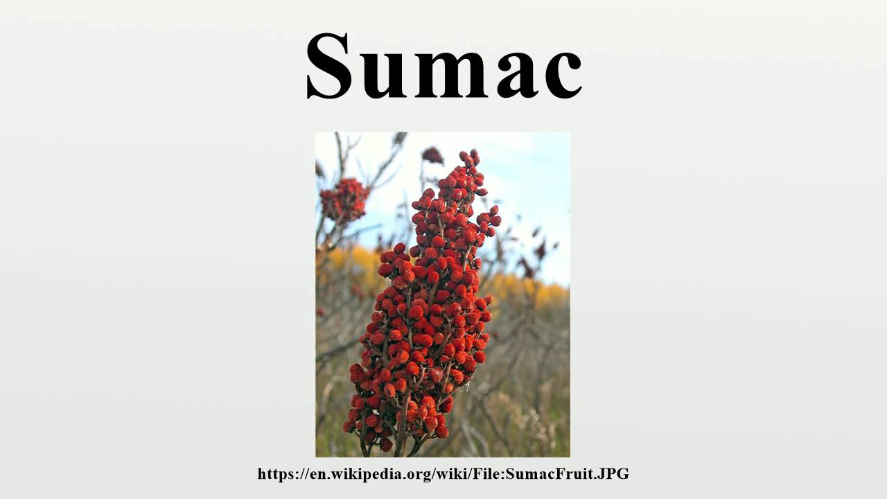 Sumac - YouTube