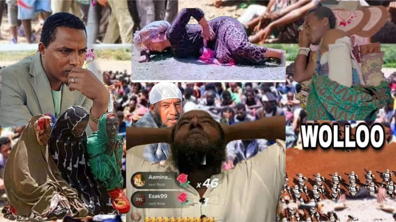 ANIS WALLOODHA,Ummanni walloo Rakko isaasn keessa jiran # ...