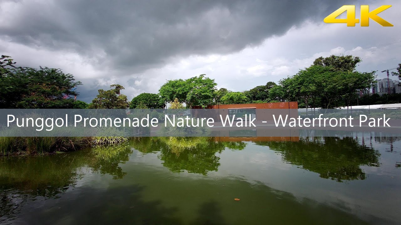 Punggol Promenade Nature Walk - Punggol Point Park - The Jetty ...