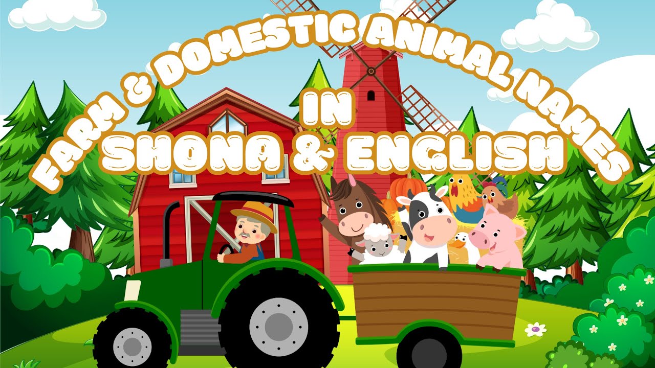Learn Farm and Domestic animal names in Shona and English - YouTube