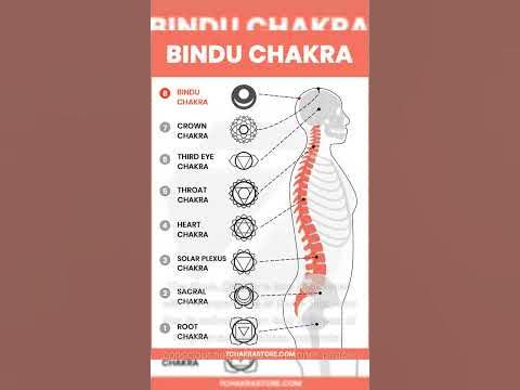 What is Bindu chakra? - YouTube