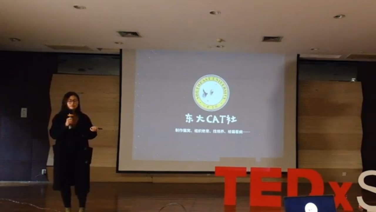 How Simple Acts Promote Stray Animal Protection 流浪动物的背后：举手之劳如何促进动物保护 ...