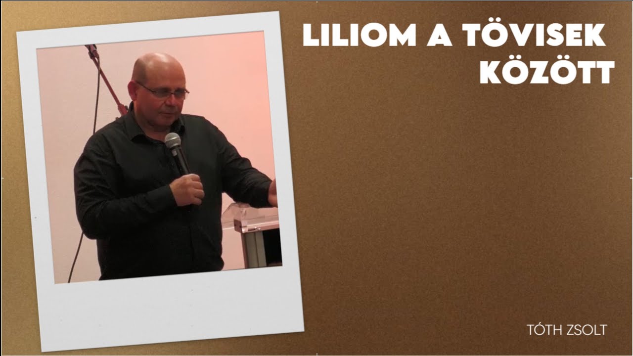 Tóth Zsolt - Liliom a Tövisek Között - YouTube