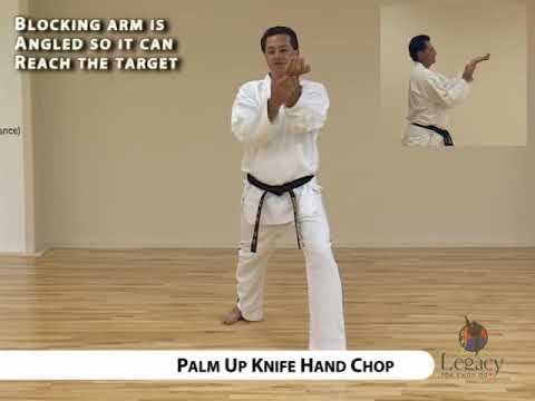 knife hand chop - YouTube
