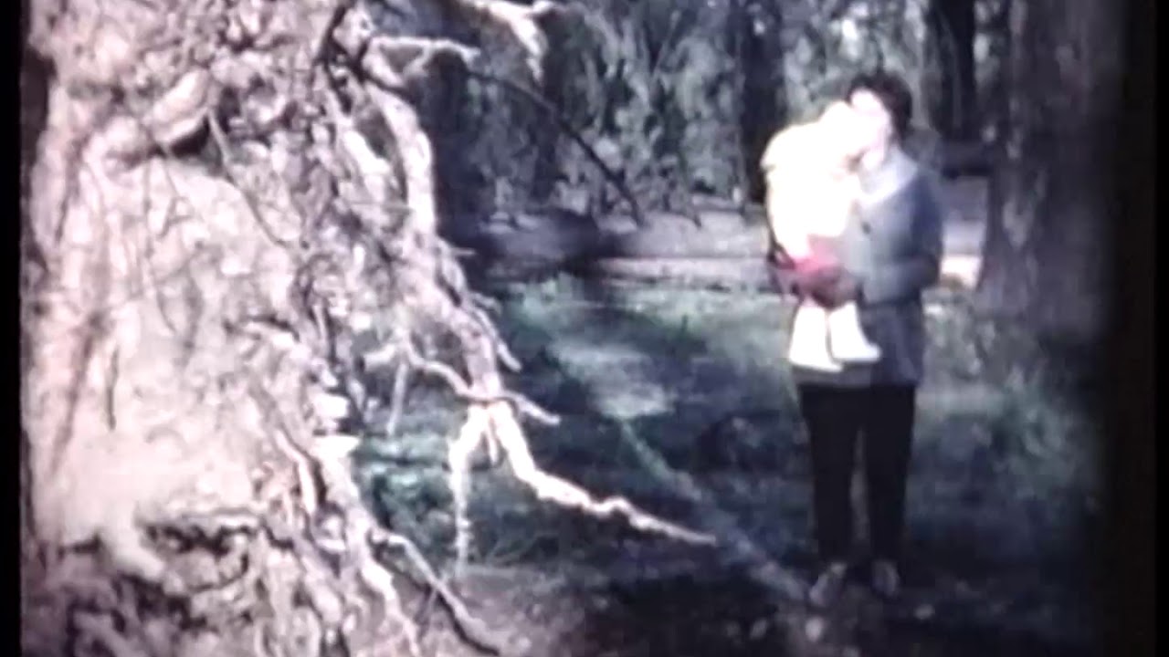 Typhoon Freda - YouTube