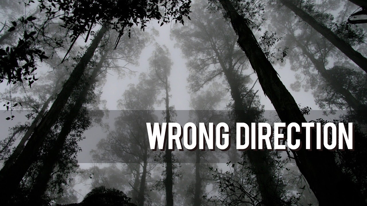 WRONG DIRECTION - YouTube