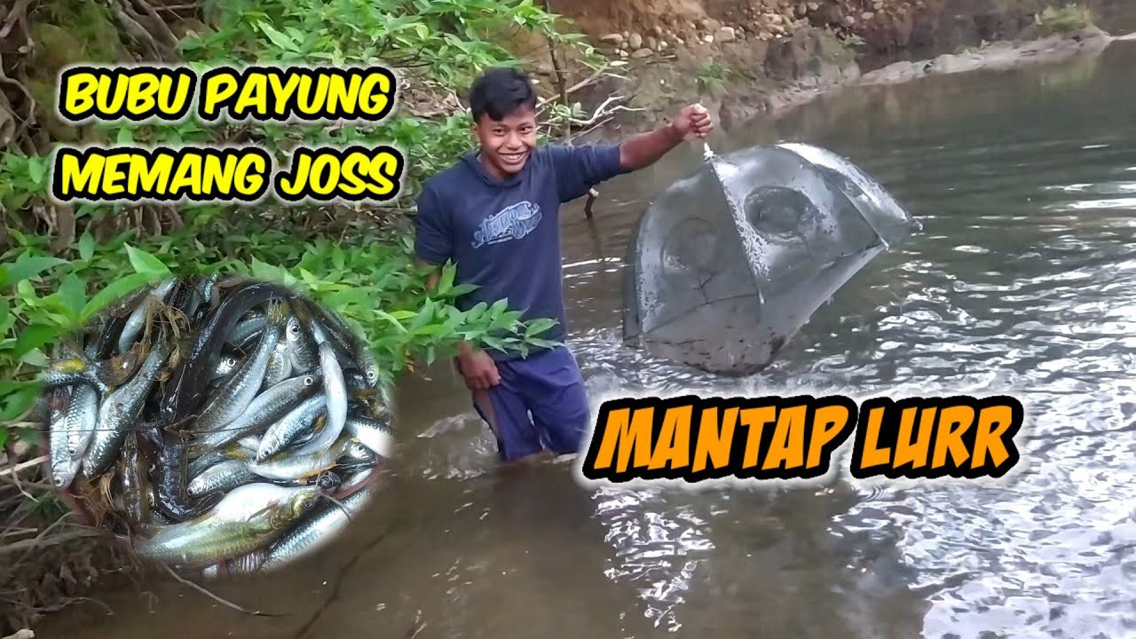 Bubu Payung Hasilnya Paling Banyak, Menangkap Ikan Parai atau Seluang ...