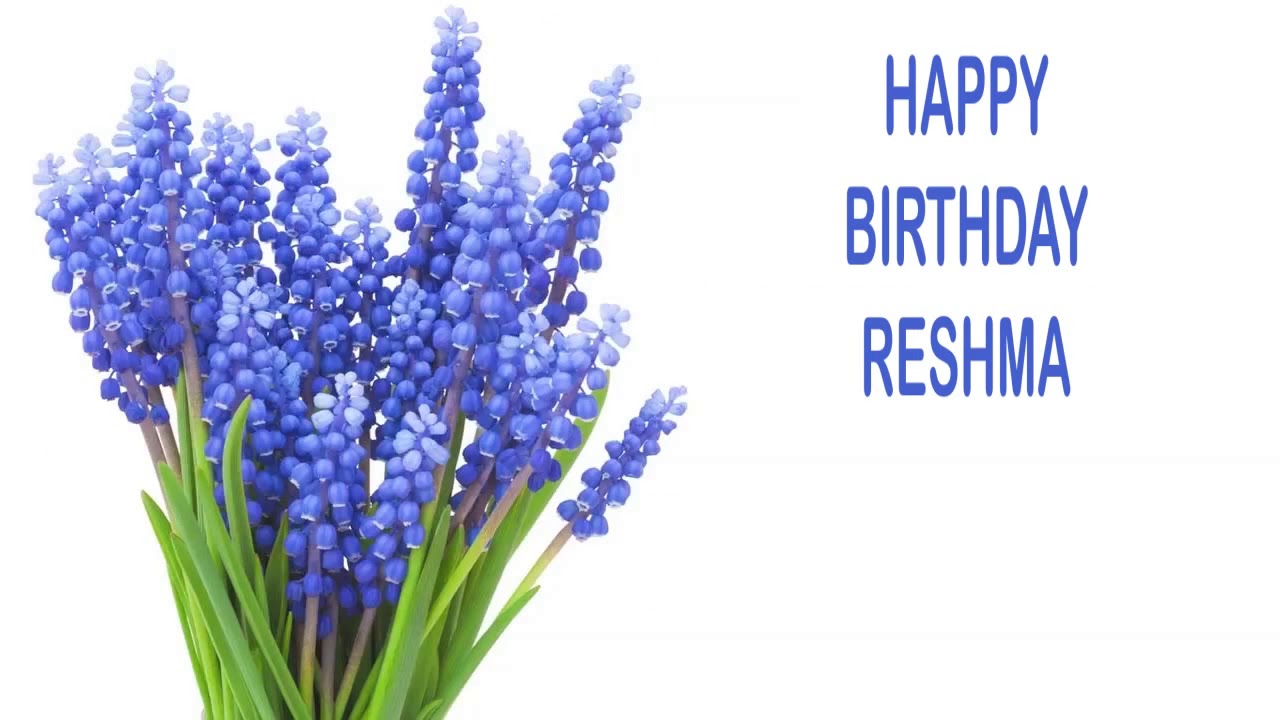Reshma happy birthday song.com - YouTube