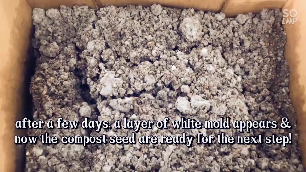 3 Simple Steps of Takakura Composting Method - YouTube