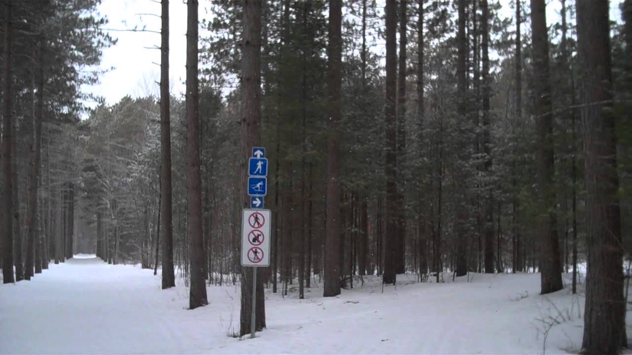 Forêt Larose - YouTube